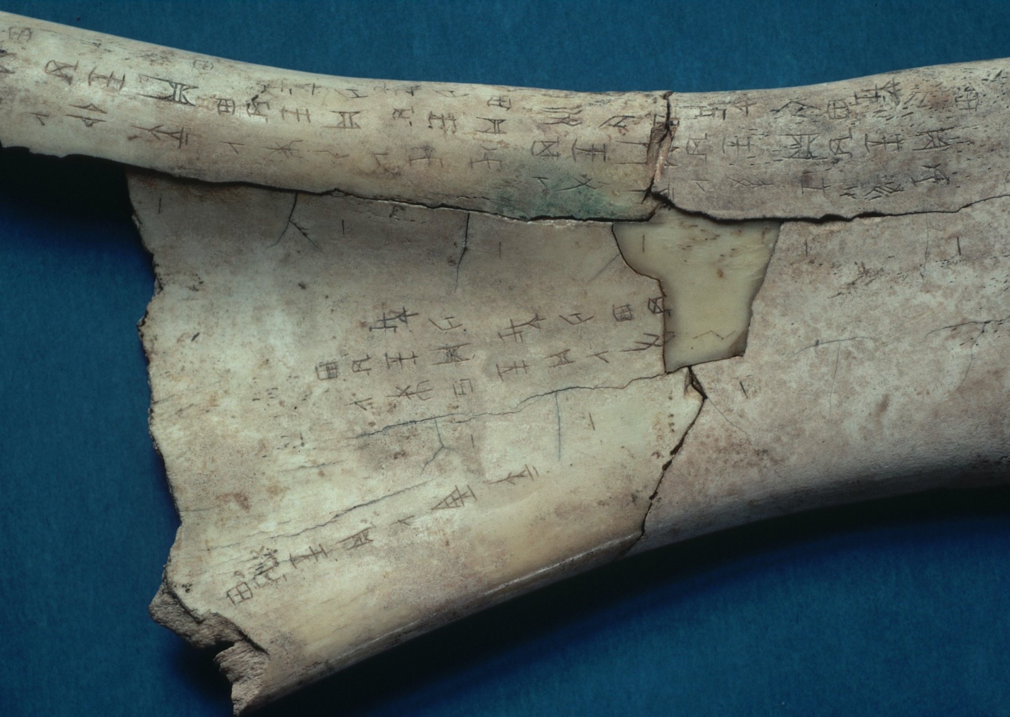 Pittogrammi: storia ed evoluzione dei simboli "universali"