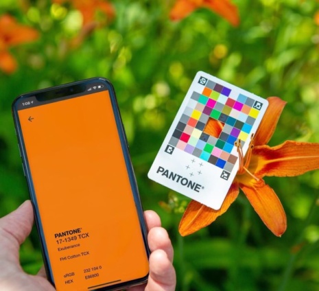 Pantone ha creato un’applicazione per riconoscere i colori che ci ...