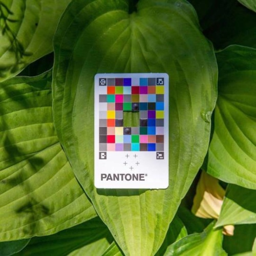 Pantone ha creato un’applicazione per riconoscere i colori che ci ...