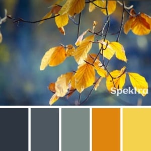 Palette autunno: breve guida | Pixartprinting