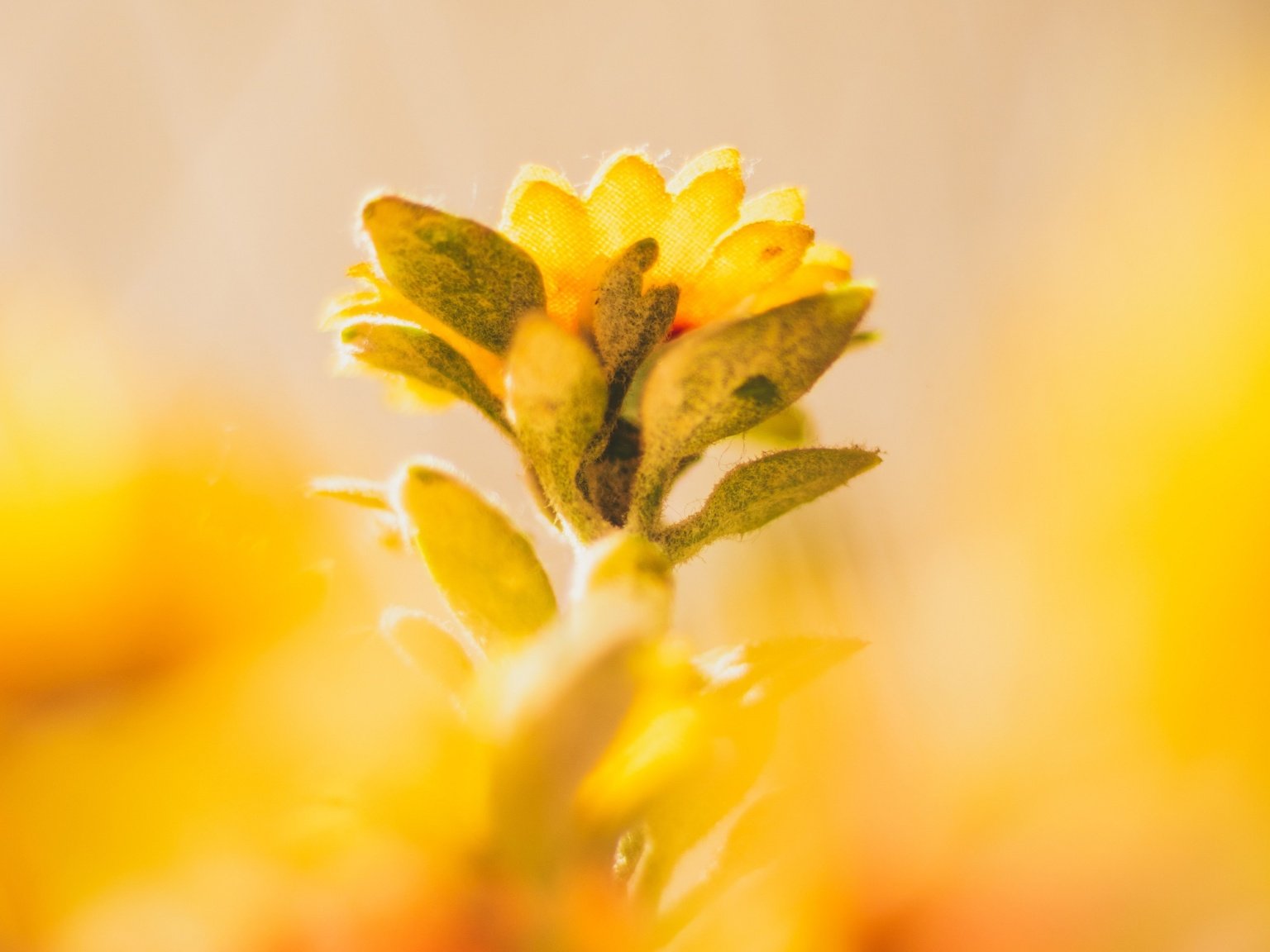 Colori caldi e colori freddi: cosa sono? | Pixartprinting