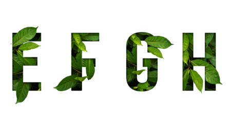 Lettering: guida semplice per imparare | Pixartprinting